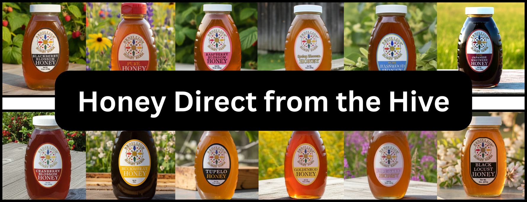 ebeehoney.com | Raw Honey, Honey, Beeswax, Honey Sticks, Comb, Chunk ...