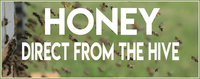 ebeehoney.com | Raw Honey, Beeswax, Royal Jelly, Propolis, Honey Straws ...